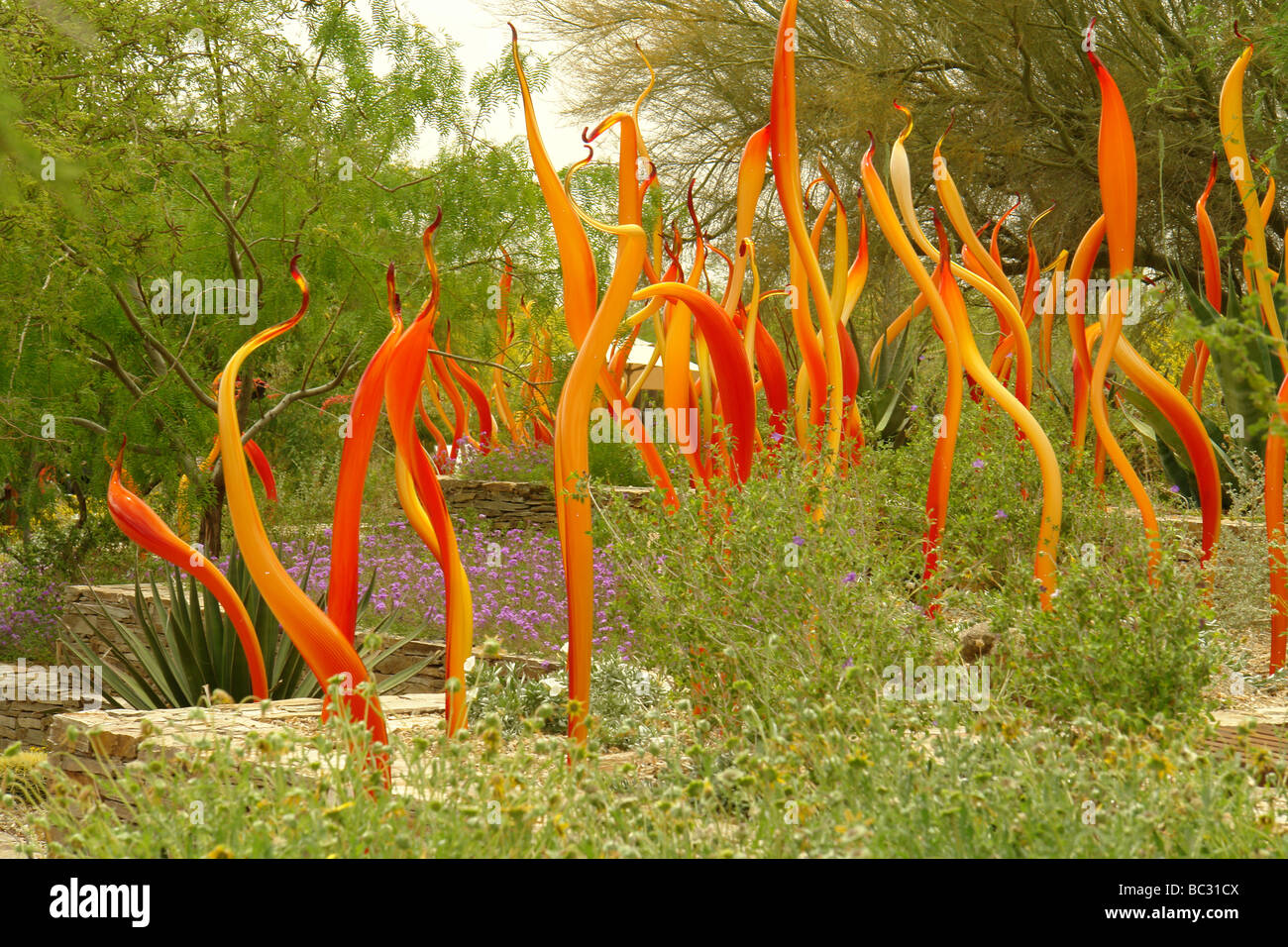 Tempe, Phoenix, Arizona, AZ Stock Photo - Alamy
