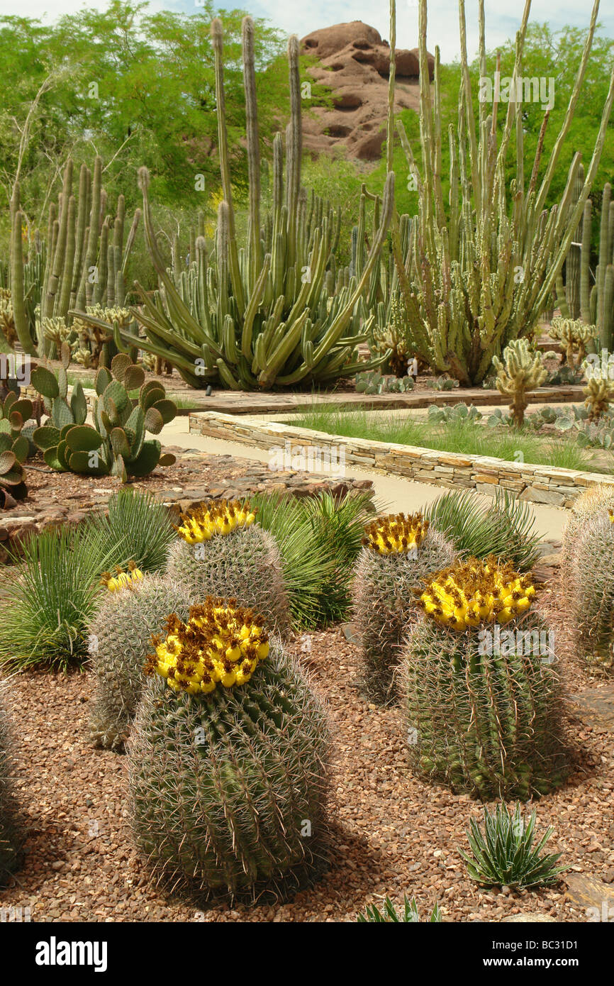 Tempe, Phoenix, Arizona, AZ Stock Photo - Alamy