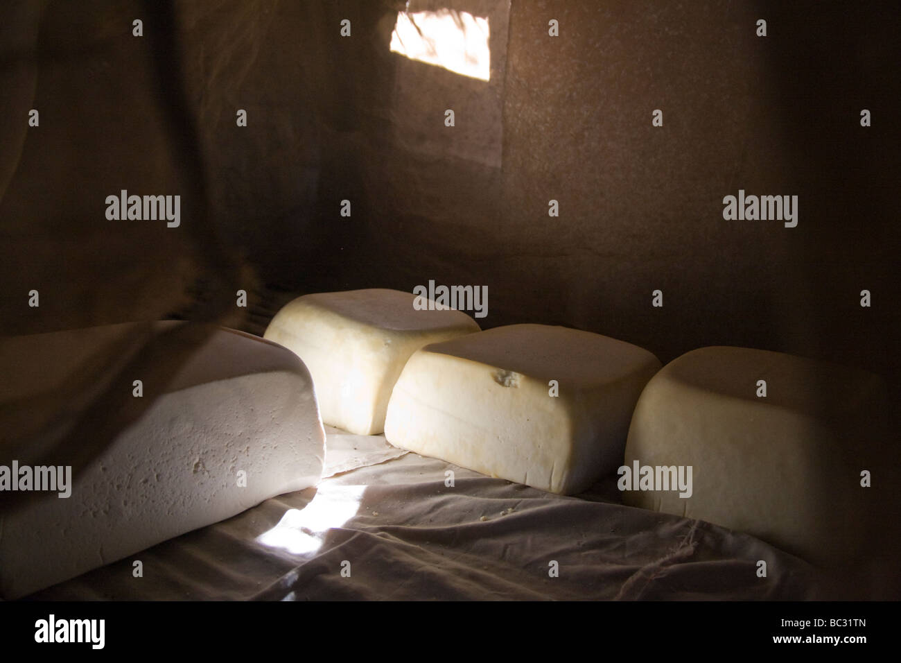 Blocks of artisanal goat cheese in San Francisco de la Sierra, Baja ...