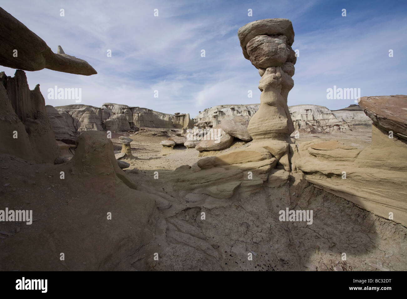 Hoodoo formation in the Bisti Badlands Wilderness in northwestern New ...