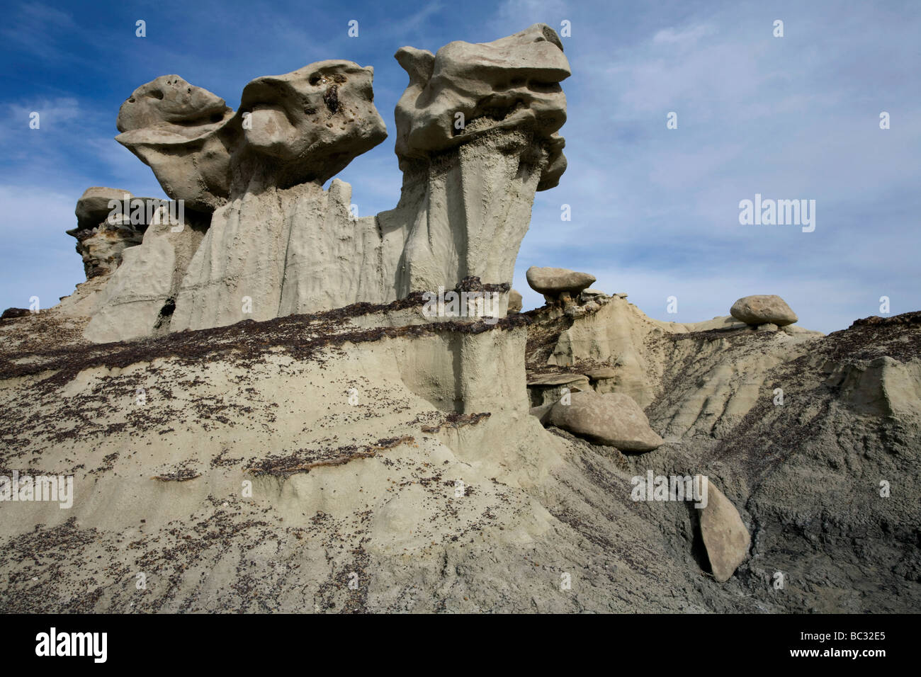 Hoodoo formation in the Bisti Badlands Wilderness in northwestern New ...