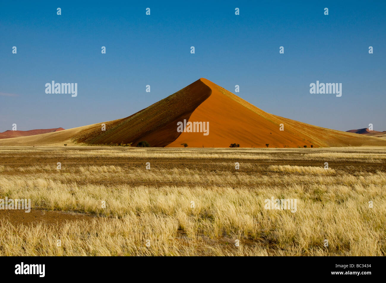 the beautiful sand dune landscape of Sossusvlei National Park in Nambia ...