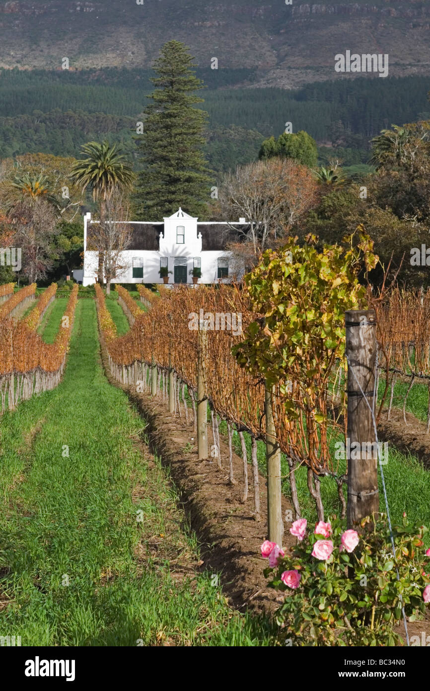 A traditional Cape Dutch homestead on a wine farm called ...