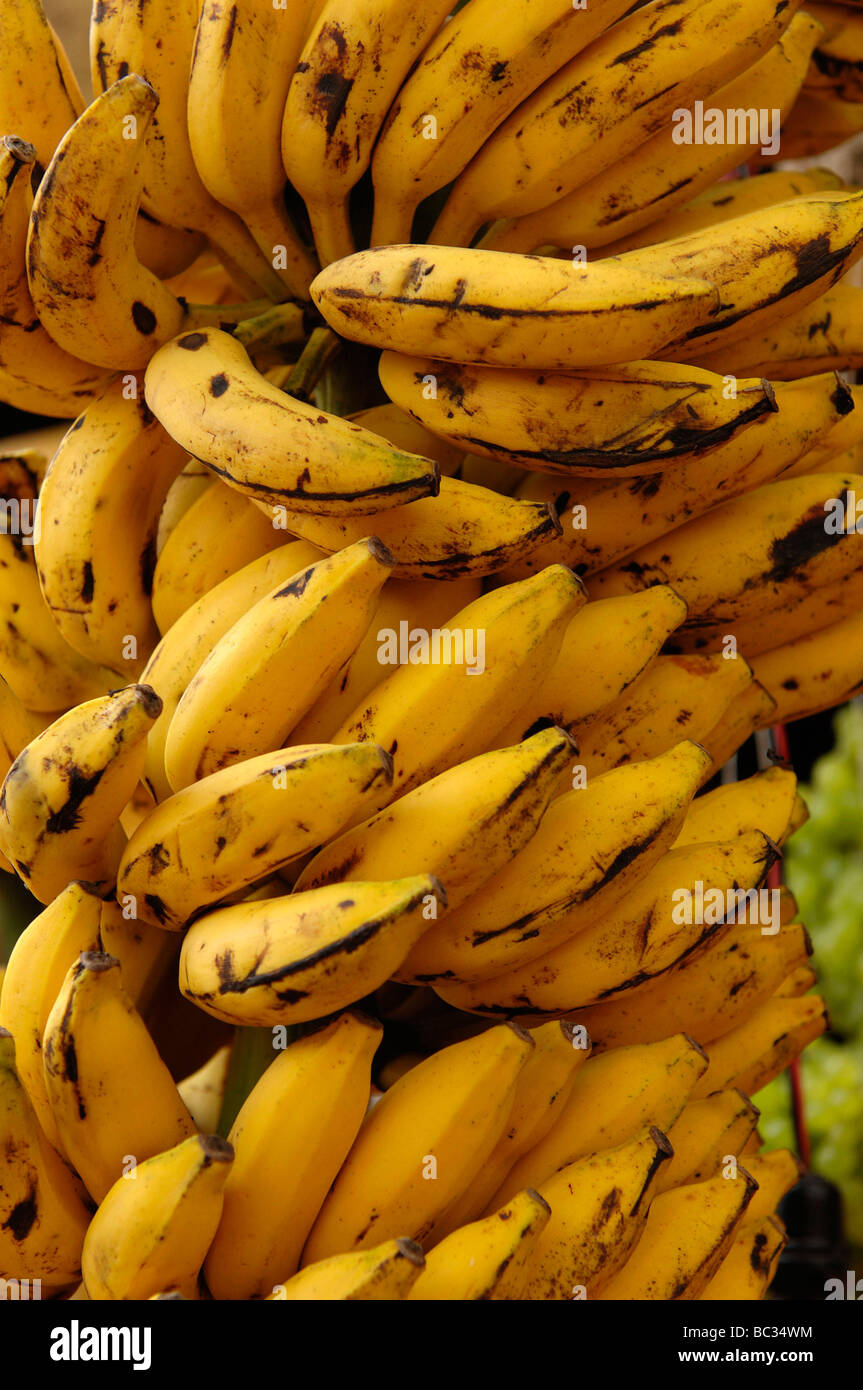 India : bananas Stock Photo - Alamy