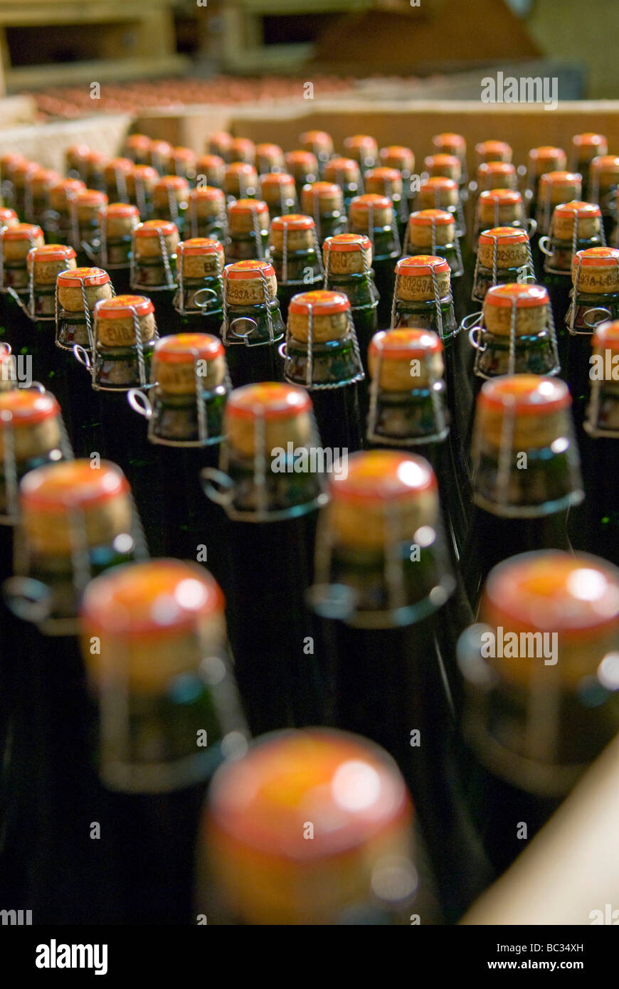 Bottle of Norman cider Stock Photo - Alamy