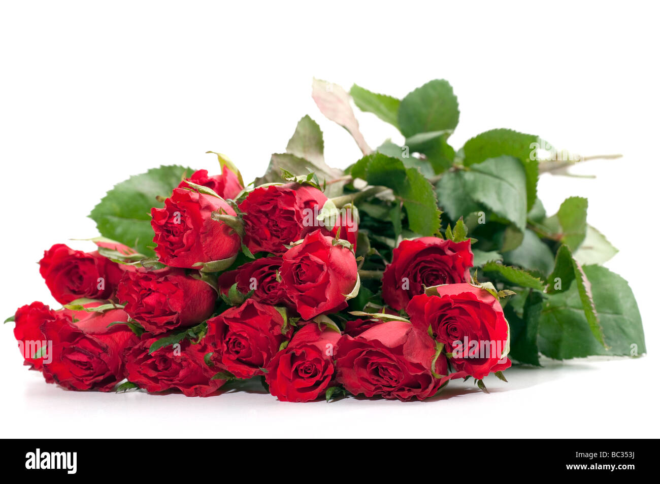 Bunch of red rose buds roses Stock Photo - Alamy
