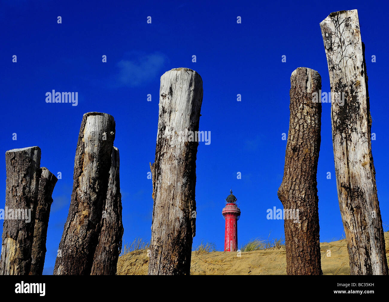 La coubre lighthouse hi-res stock photography and images - Alamy