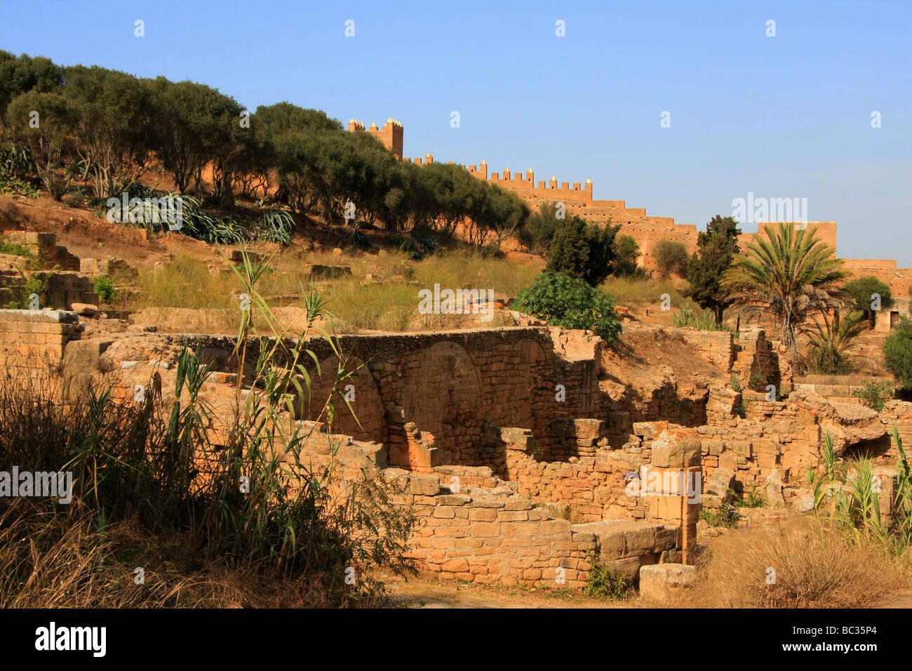 Chella Stock Photos & Chella Stock Images - Alamy