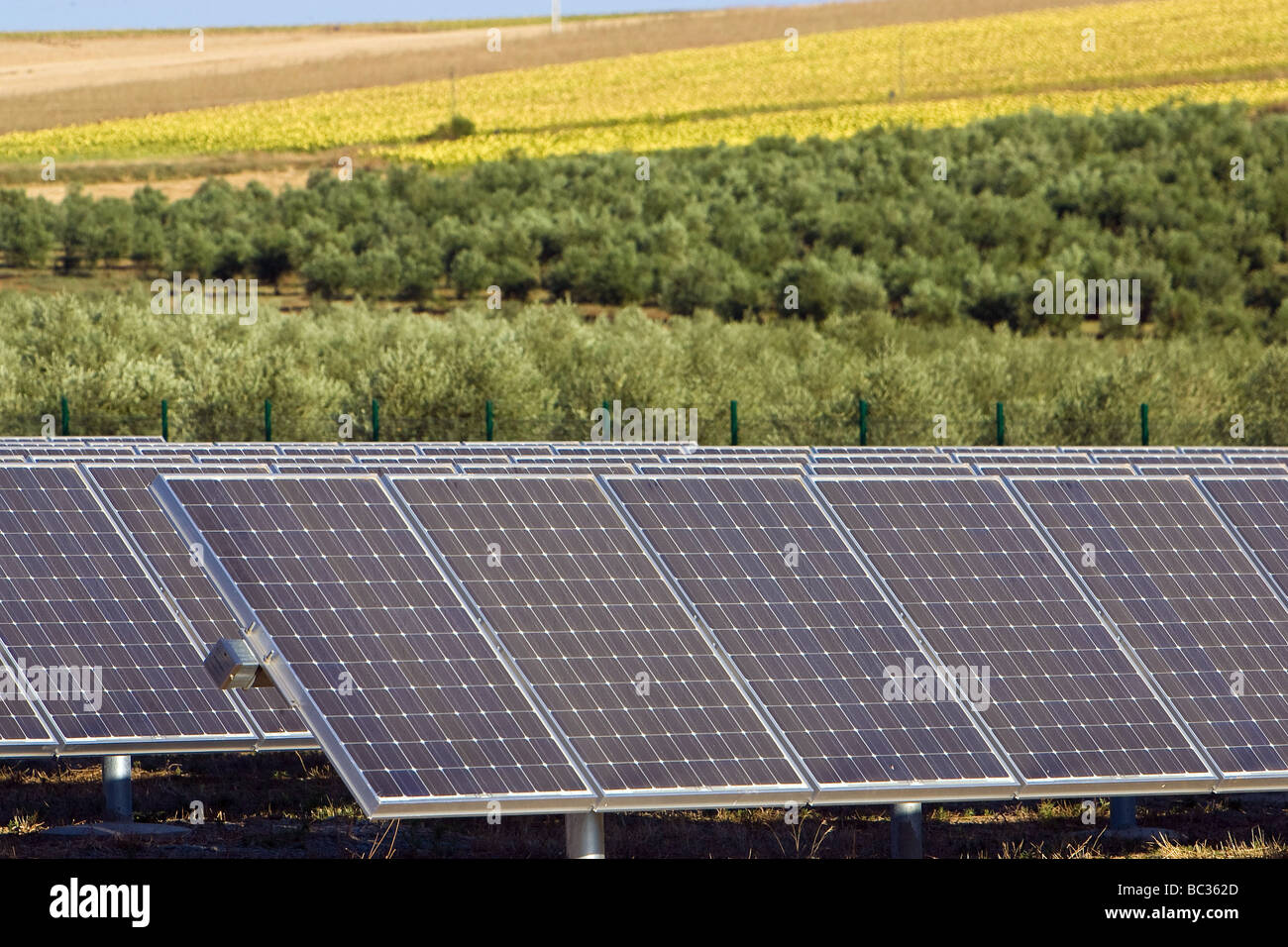 Serpa (Portugal) : Solar photovoltaic power plant Stock Photo - Alamy