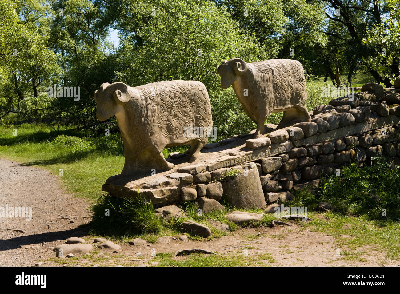 Stone sheep hi-res stock photography and images - Alamy