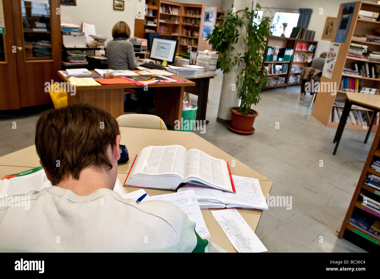 School library: School library media center Stock Photo - Alamy