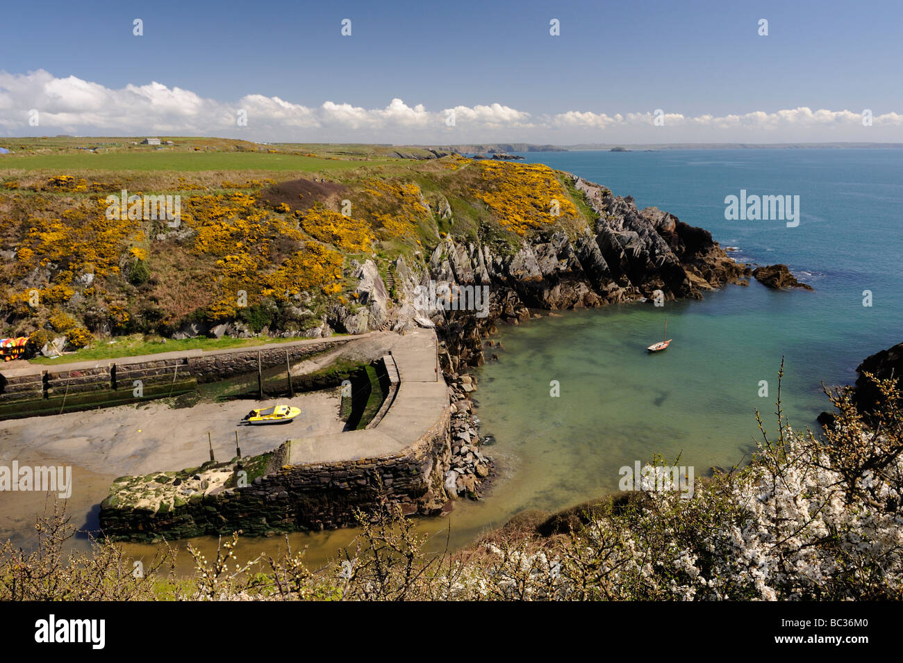 Porth Clais harbour on the Pembrokeshire coast path, Wales, UK Stock ...
