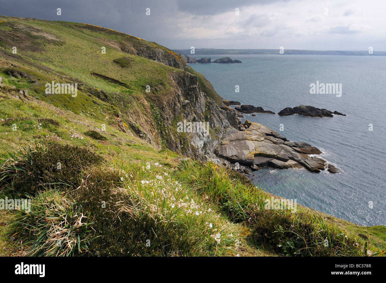 Views from the pembrokeshire coast path near Solva, Wales, UK Stock ...