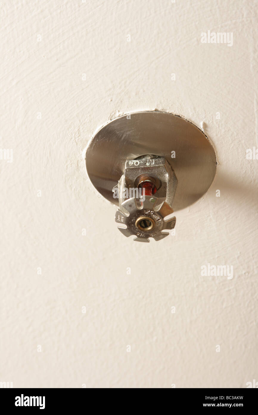 ceiling mounted fire sprinkler Stock Photo - Alamy