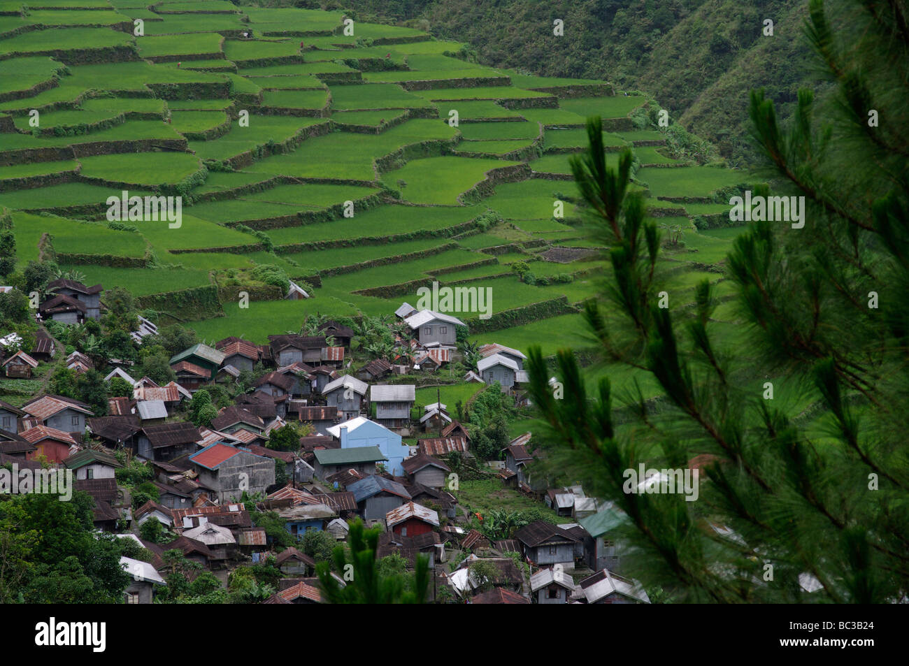 Bayyo Village and Rice Terraces, Near Bontoc, Mountain Province, North ...