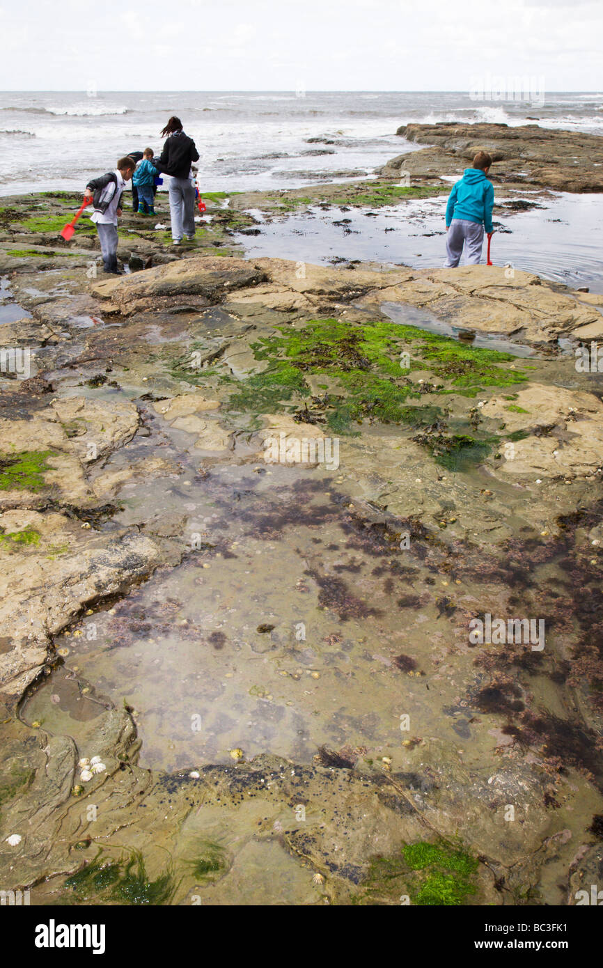 Rock pools children uk hi-res stock photography and images - Alamy