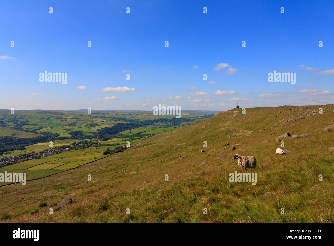 Langfield common hi-res stock photography and images - Alamy