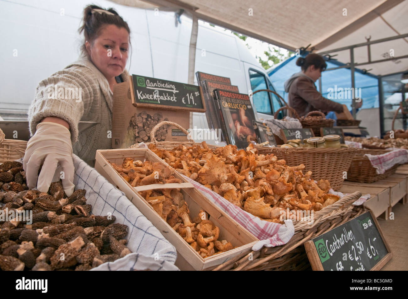 Mushroom stall at the Noowemarkt Market, Amsterdam Stock Photo - Alamy
