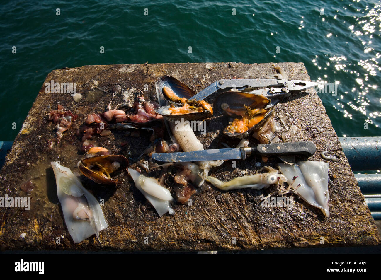 Dismembered fish hi-res stock photography and images - Alamy
