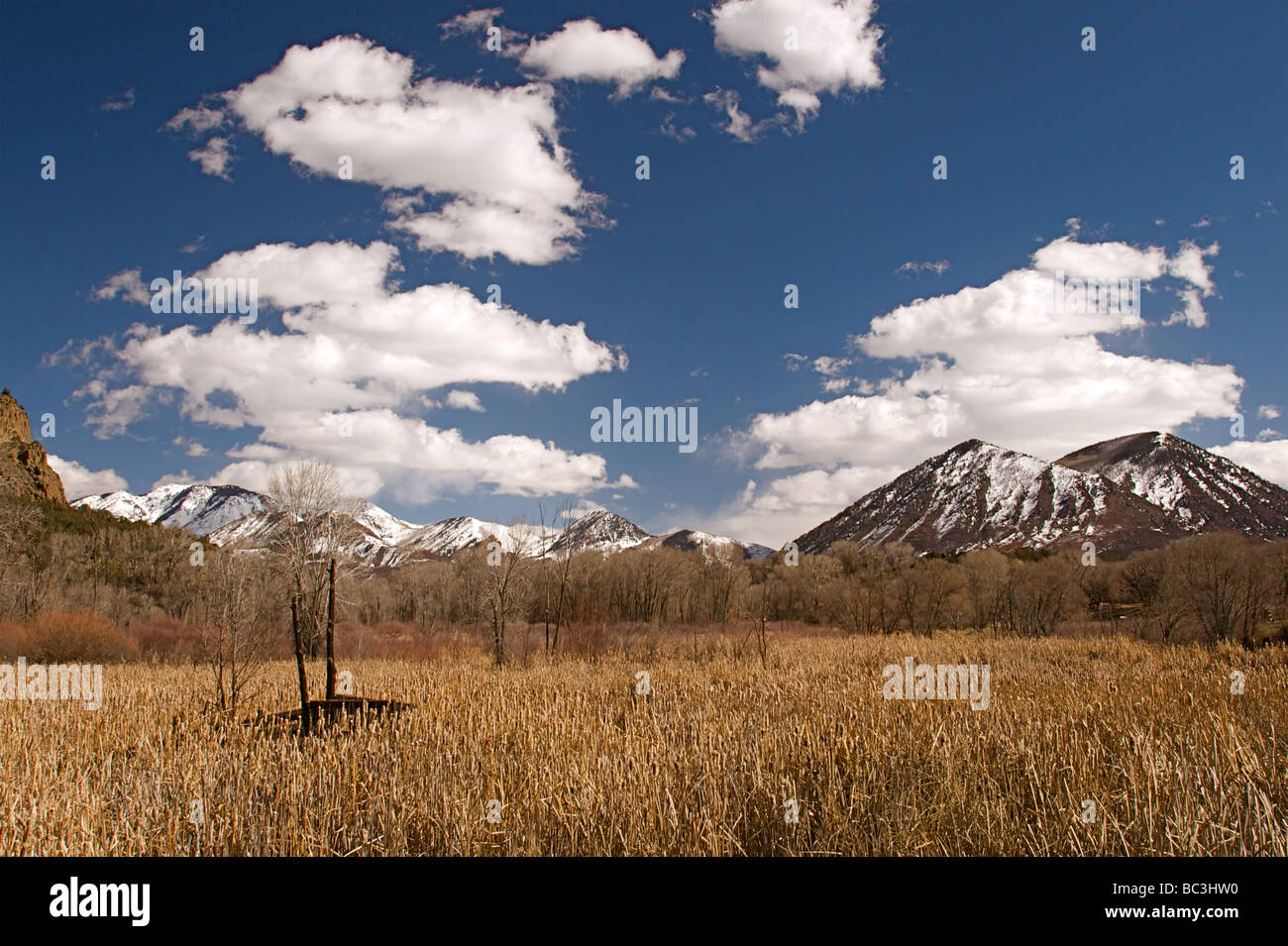 Colorado Rocky Mountain scenes and nature elements Stock Photo - Alamy