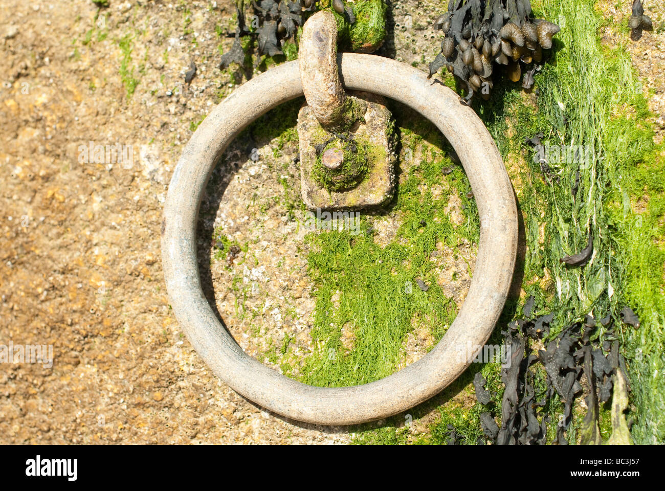 Harbour Wall detail showing boat ring Stock Photo - Alamy