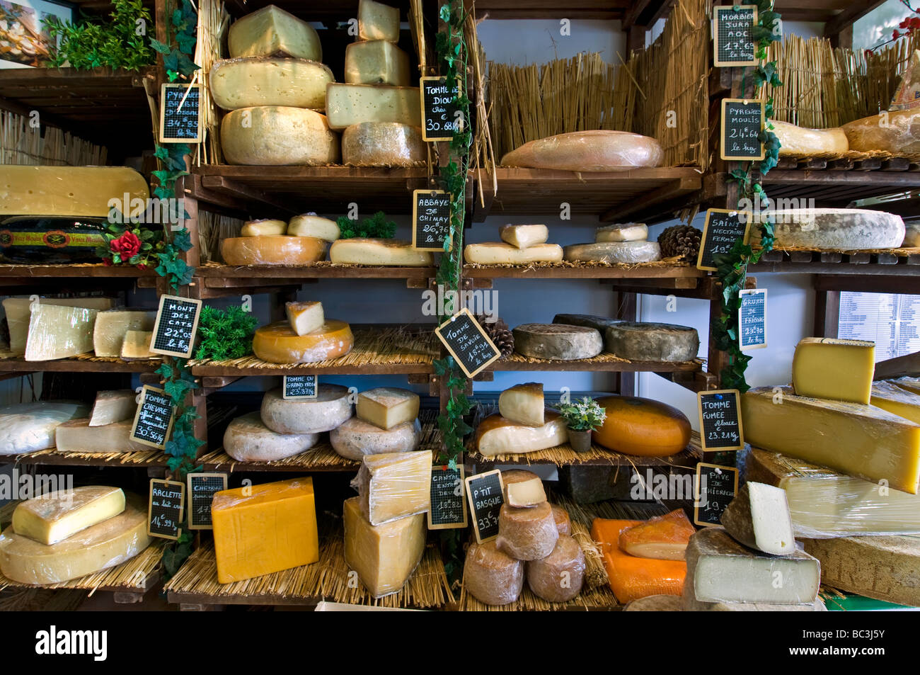 Selection of handmade cheeses on display in the artisan fromagerie ...