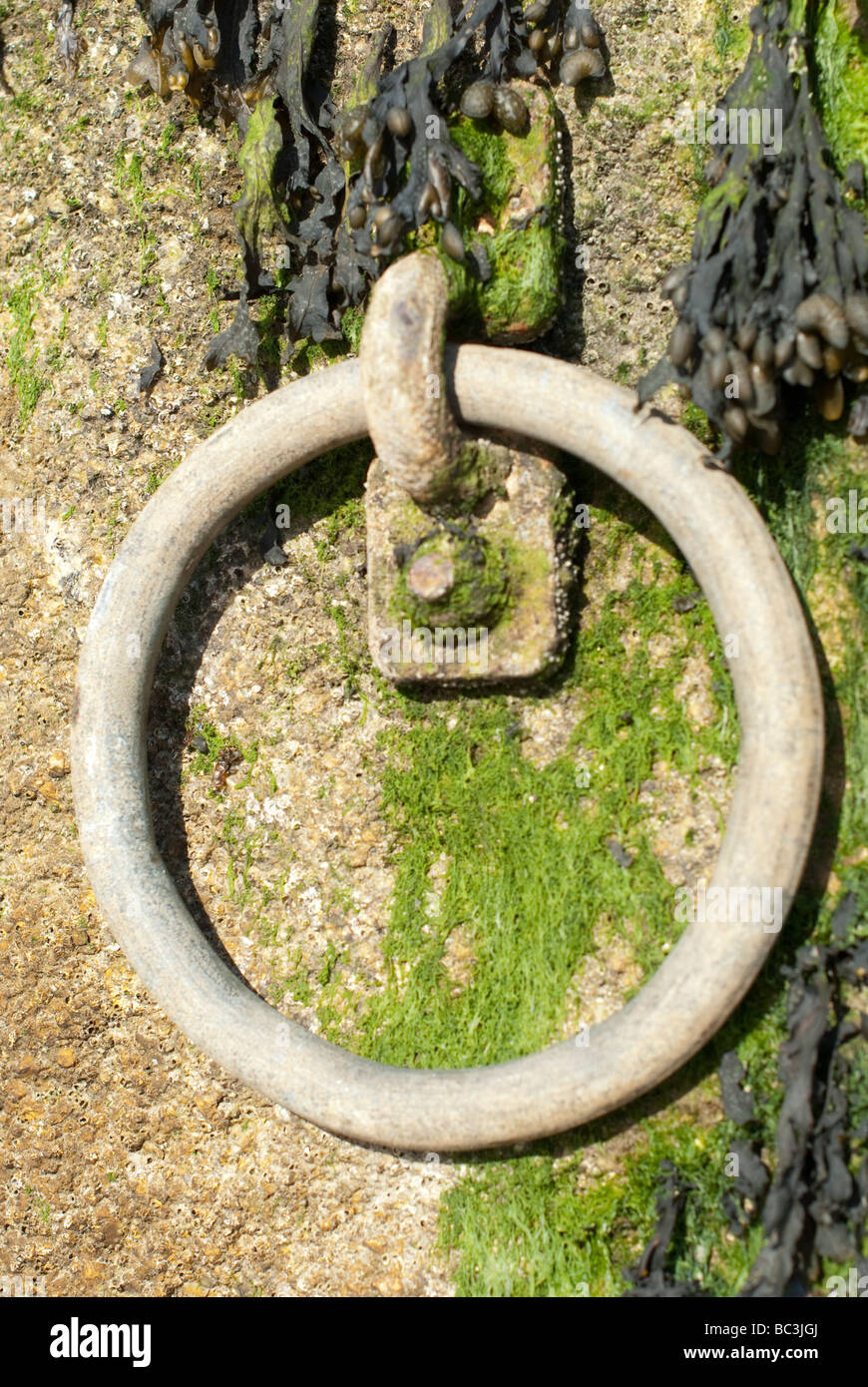 Harbour Wall detail showing boat ring Stock Photo - Alamy