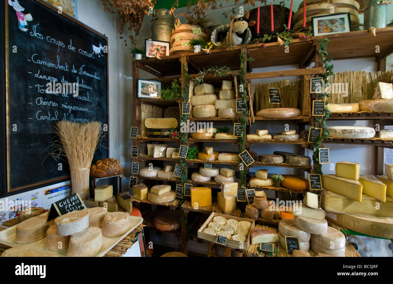Selection of handmade cheeses on display in the artisan fromagerie ...