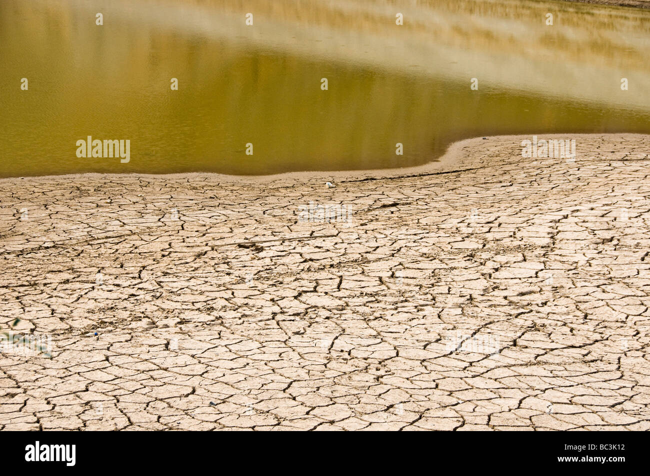 Dried out land in drought hi-res stock photography and images - Alamy
