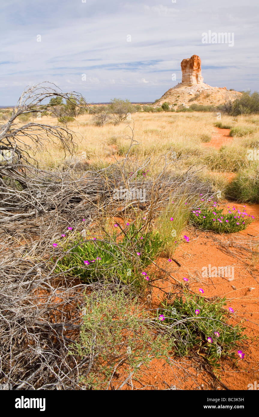 Chambers pillar australia hi-res stock photography and images - Alamy