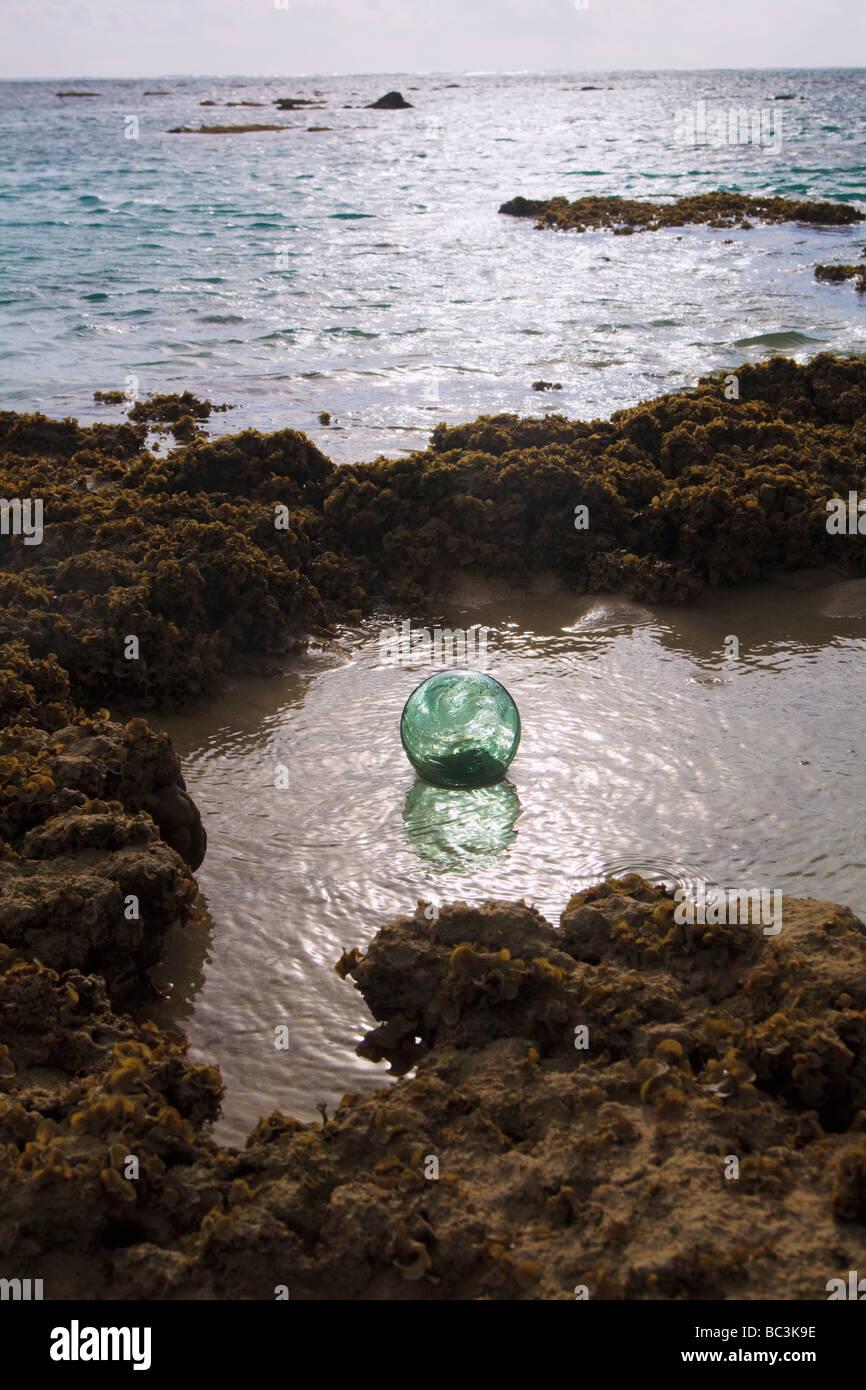 Glass float ball drifts to shore on a Pacific island Stock Photo - Alamy