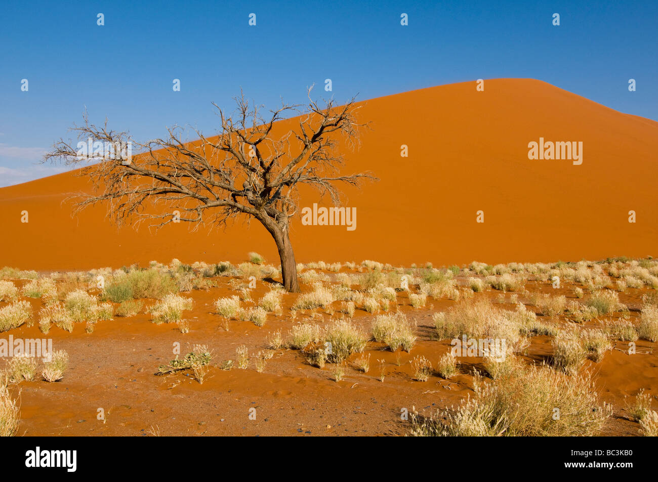 the beautiful sand dune landscape of Sossusvlei National Park in Nambia ...