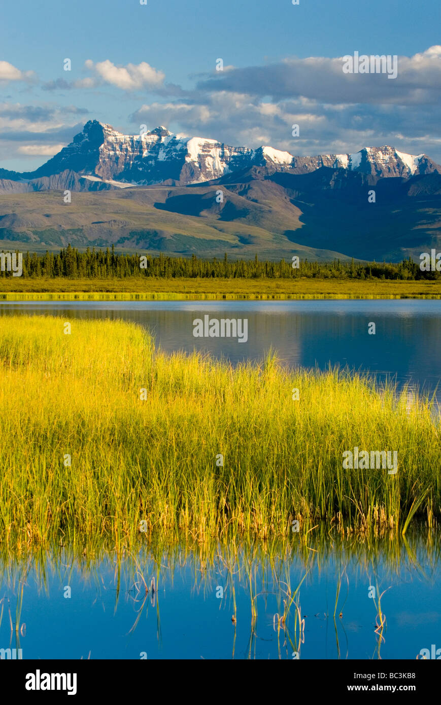 Tanada Peak Wrangell St Elias National Park Alaska Stock Photo - Alamy