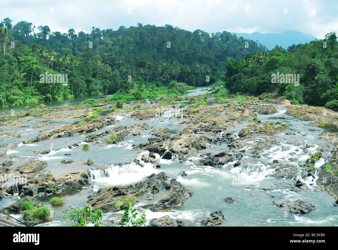 Periyar river, Idukki, Kerala Stock Photo - Alamy