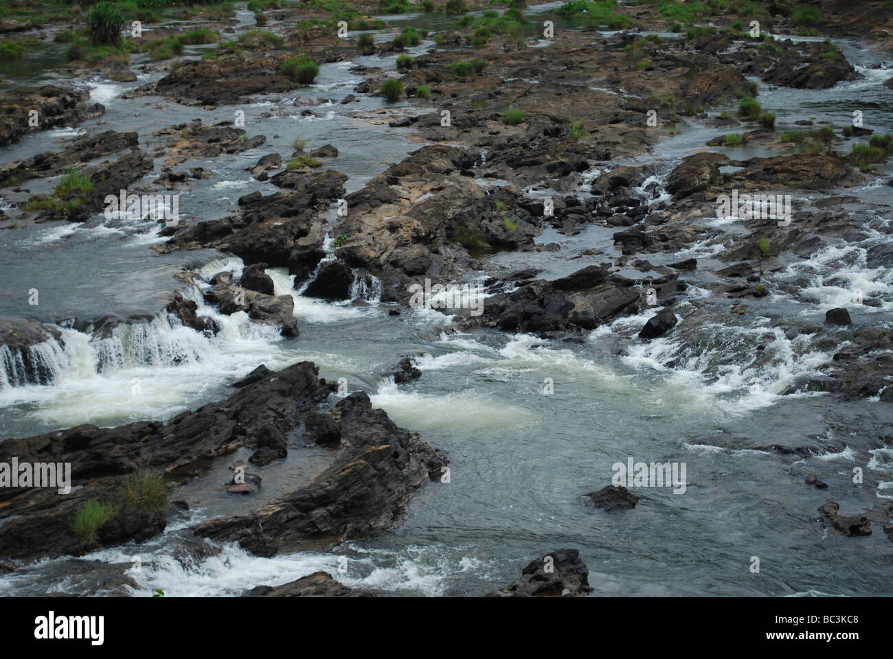 Periyar river, Idukki, Kerala Stock Photo - Alamy