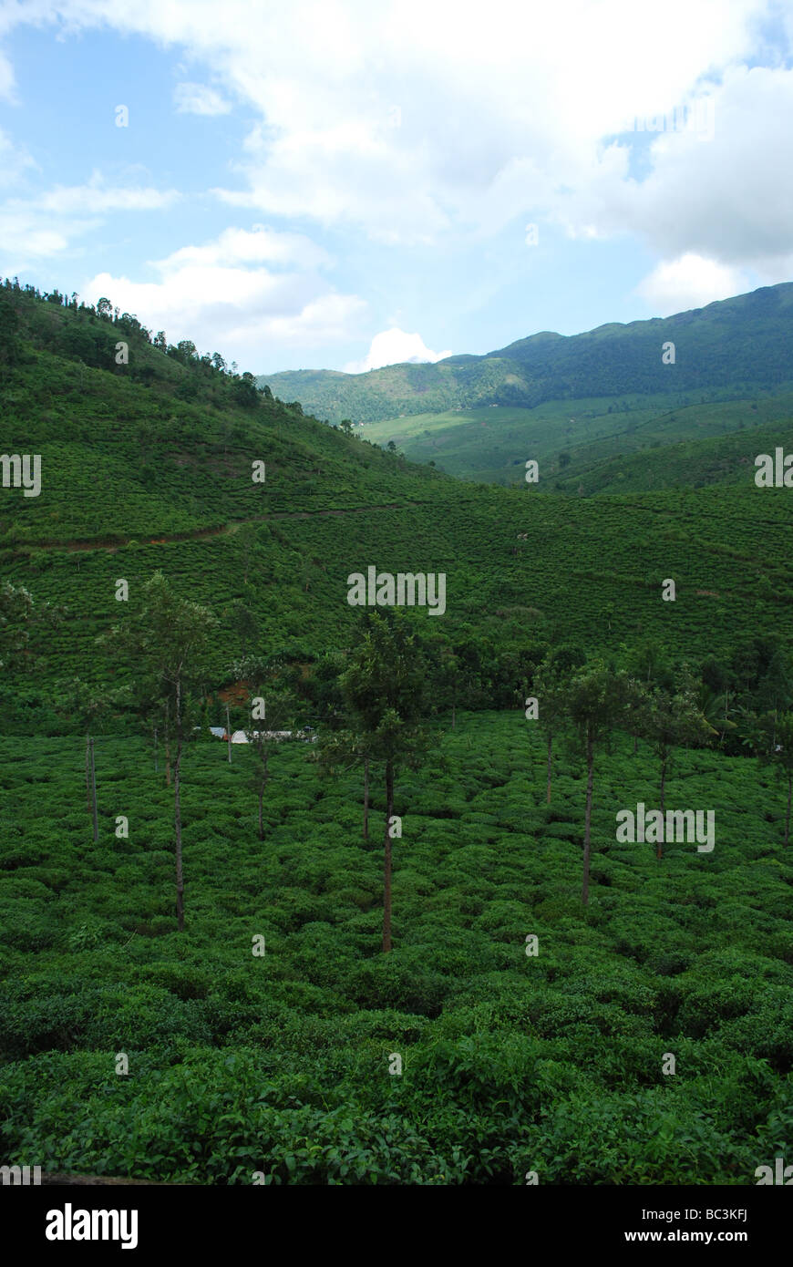 Vagamon hi-res stock photography and images - Alamy