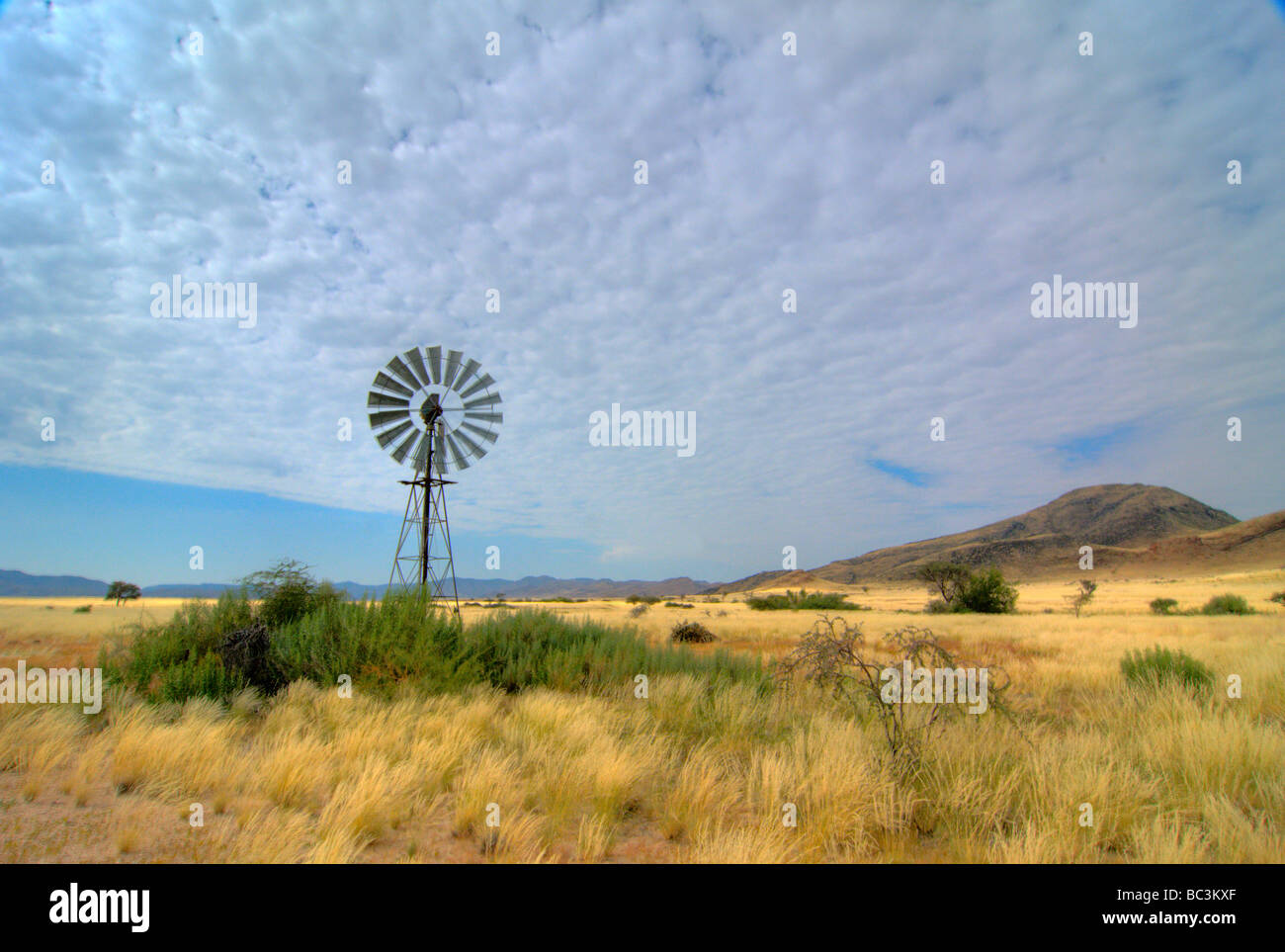 Namibia savanna hi-res stock photography and images - Alamy