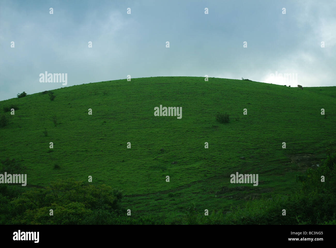 Wagamon hills hi-res stock photography and images - Alamy