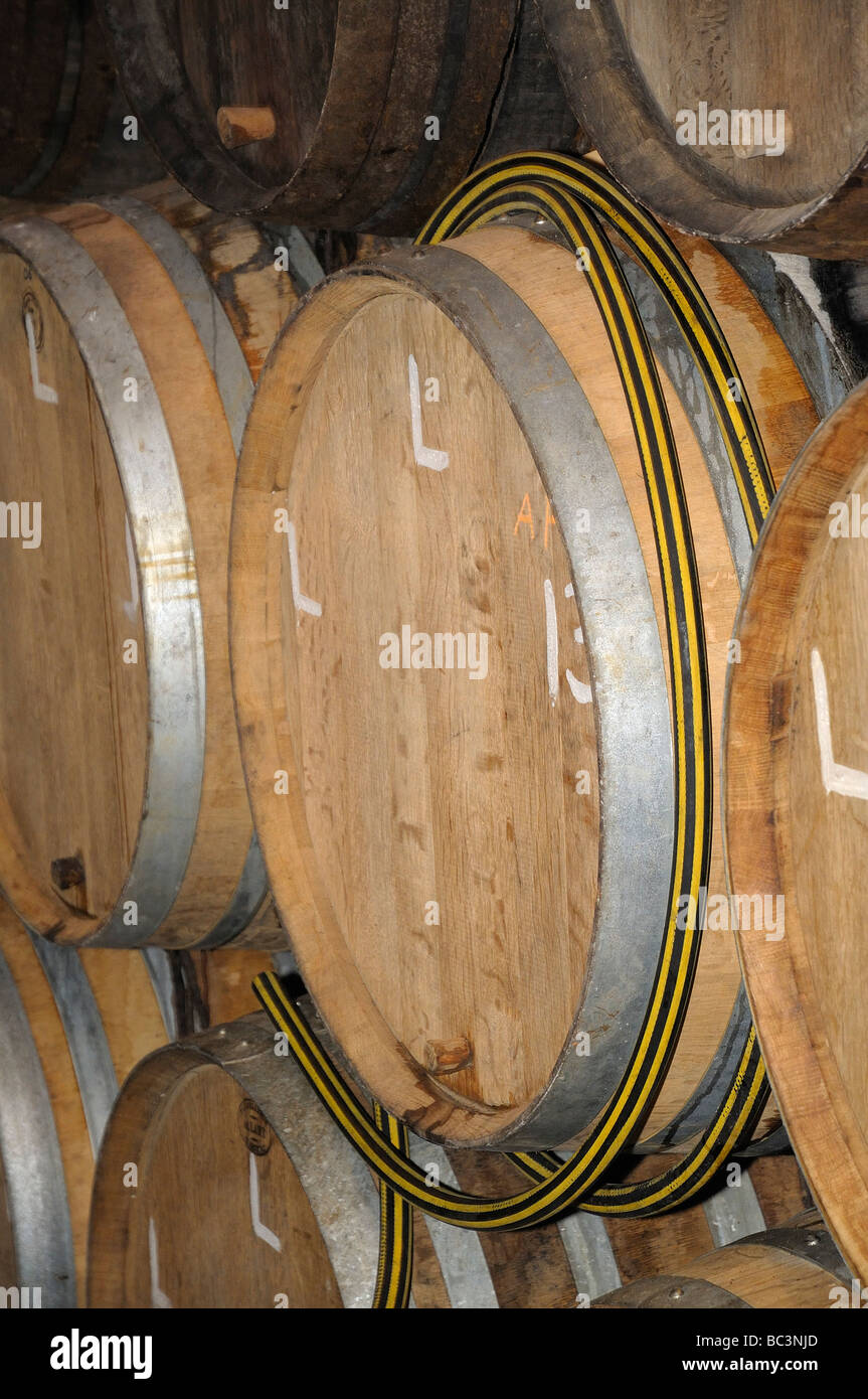 Lambic beer maturing in wooden oak casks at the famous Cantillon ...
