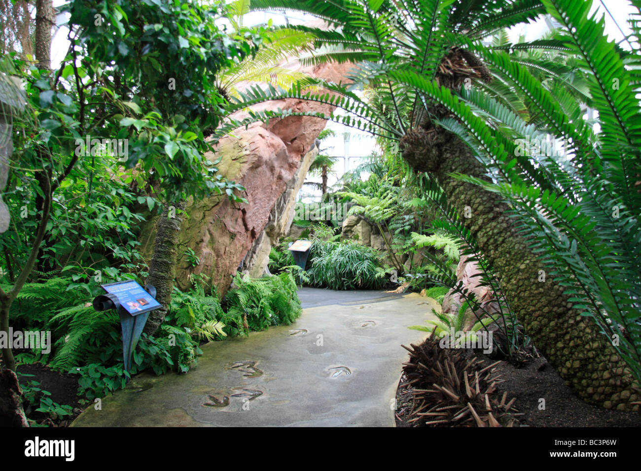 View inside Evolution House, The Royal Botanic Gardens, Kew, Surrey ...
