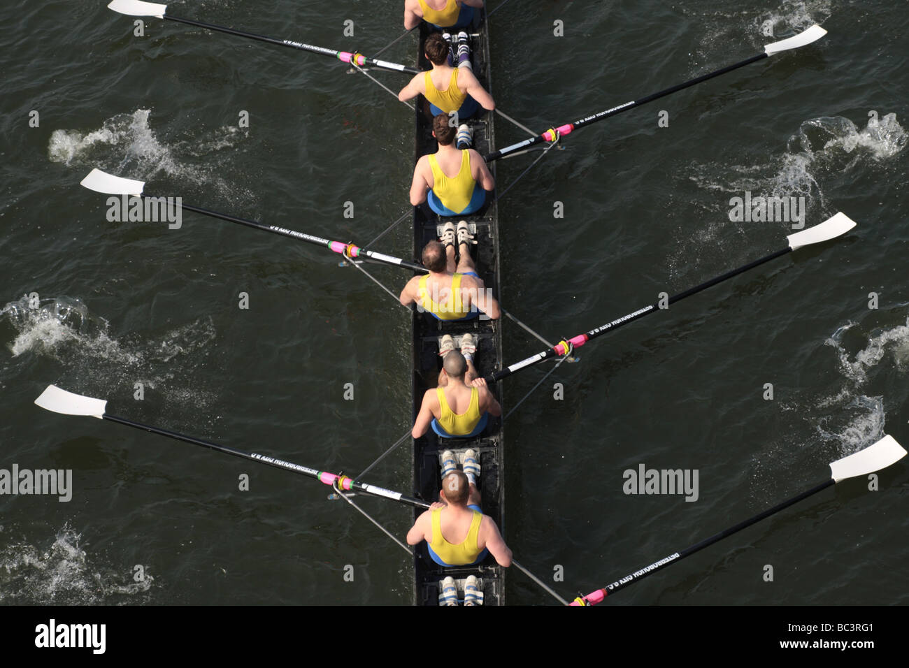 Rowing eight hi-res stock photography and images - Alamy