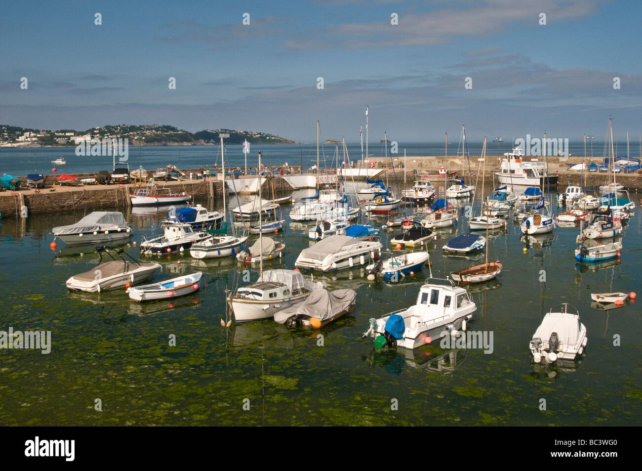 Paignton harbour devon united kingdom hi-res stock photography and ...