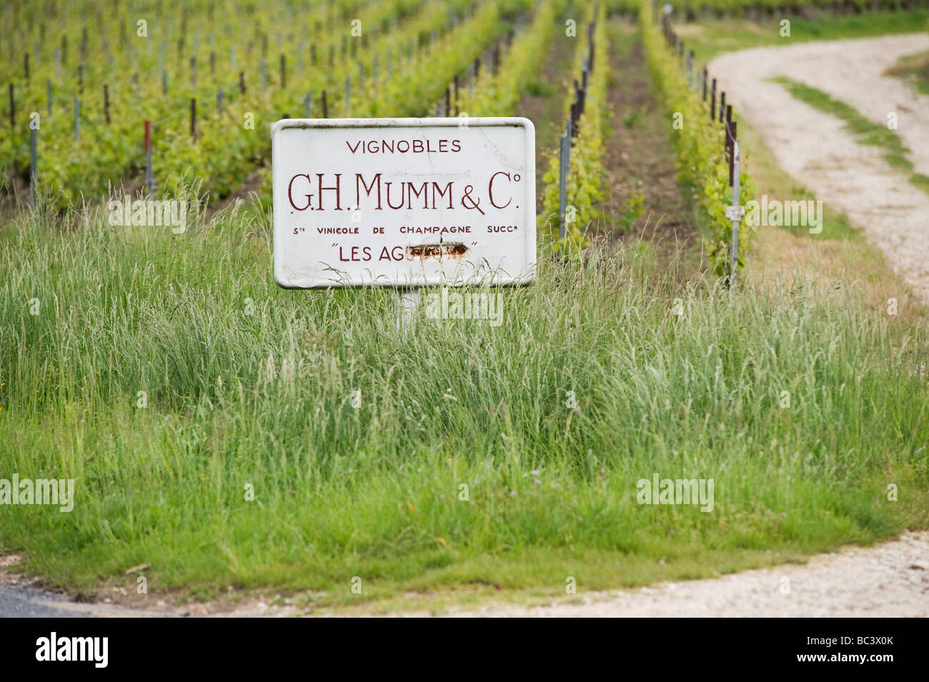 Mumm champagne hi-res stock photography and images - Alamy
