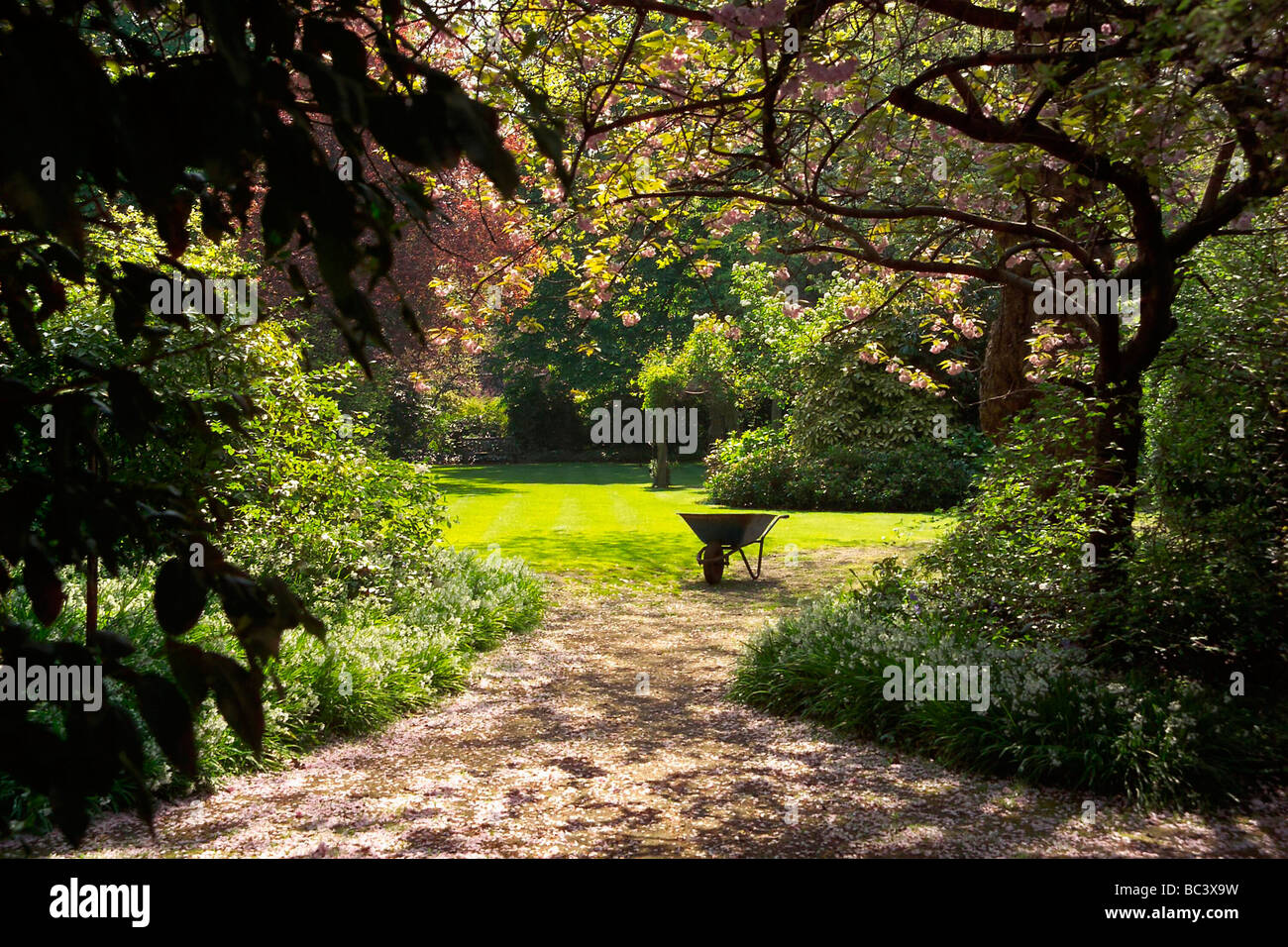 Wheel barrow plants hi-res stock photography and images - Alamy