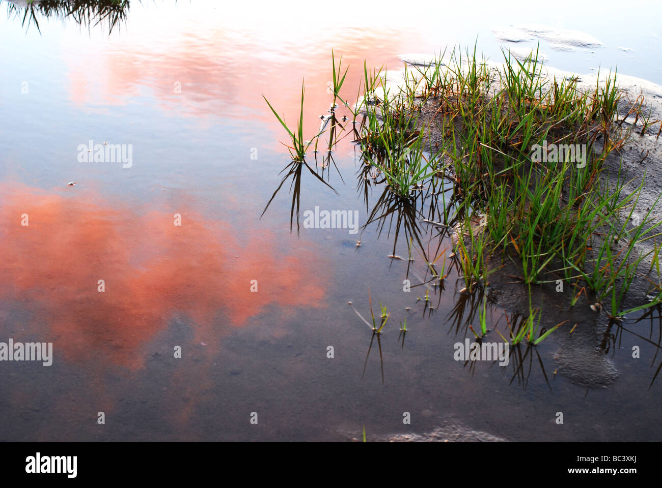 sunset reflections in tidal pools Stock Photo - Alamy