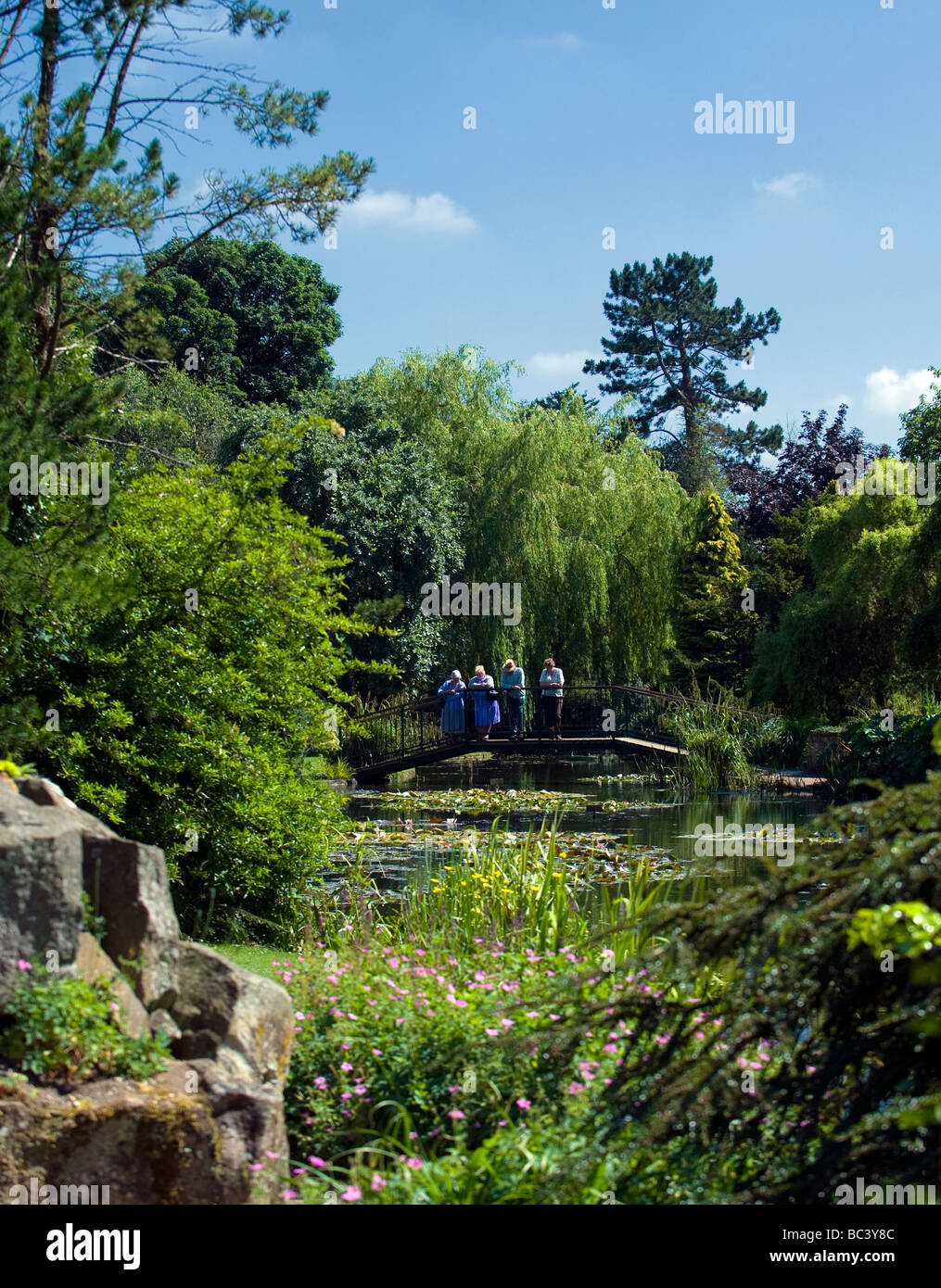 People Stood On Bridge Overlooking Water Lily Pond Stock Photo - Alamy