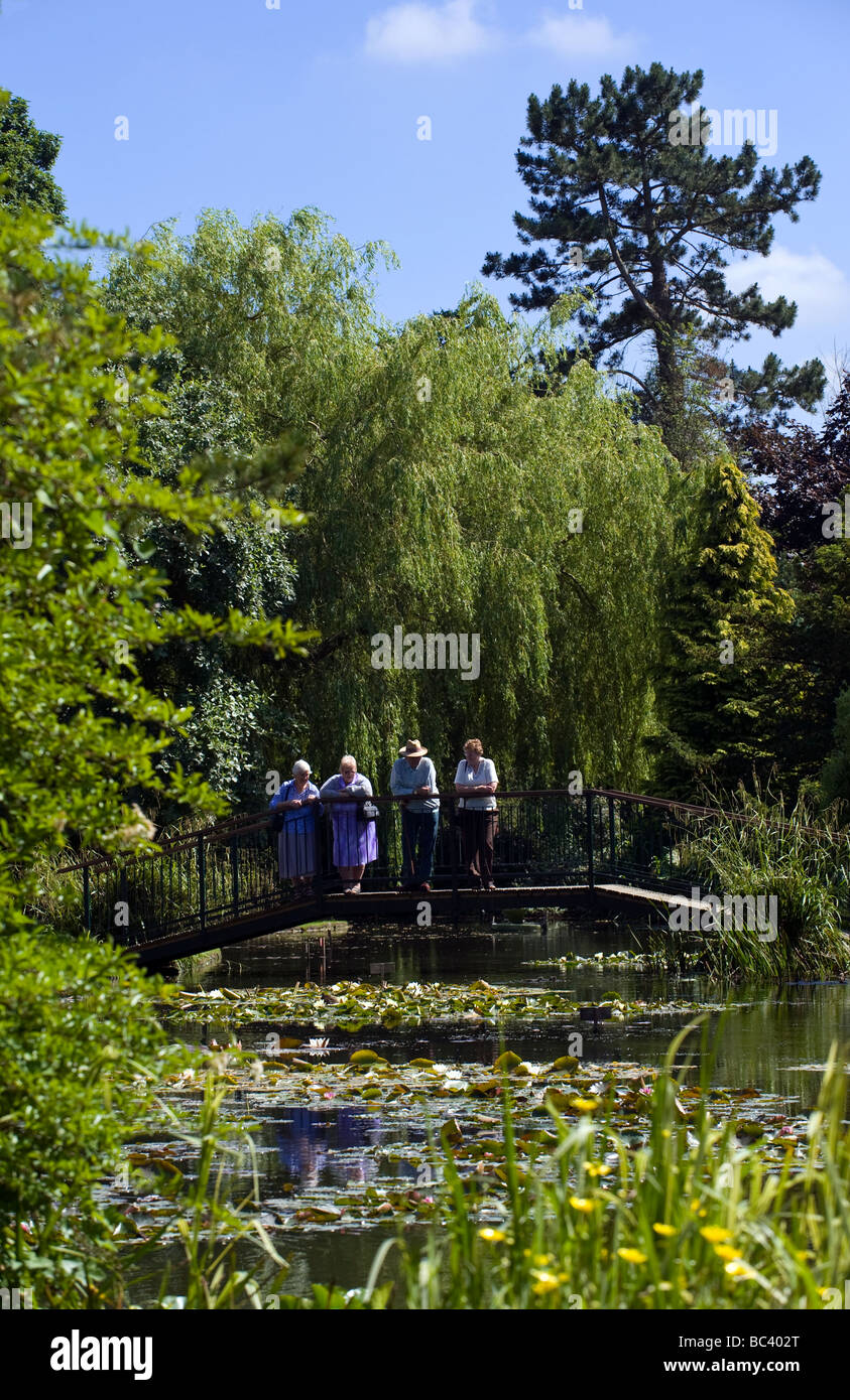 People Stood On Bridge Overlooking Water Lily Pond Stock Photo - Alamy