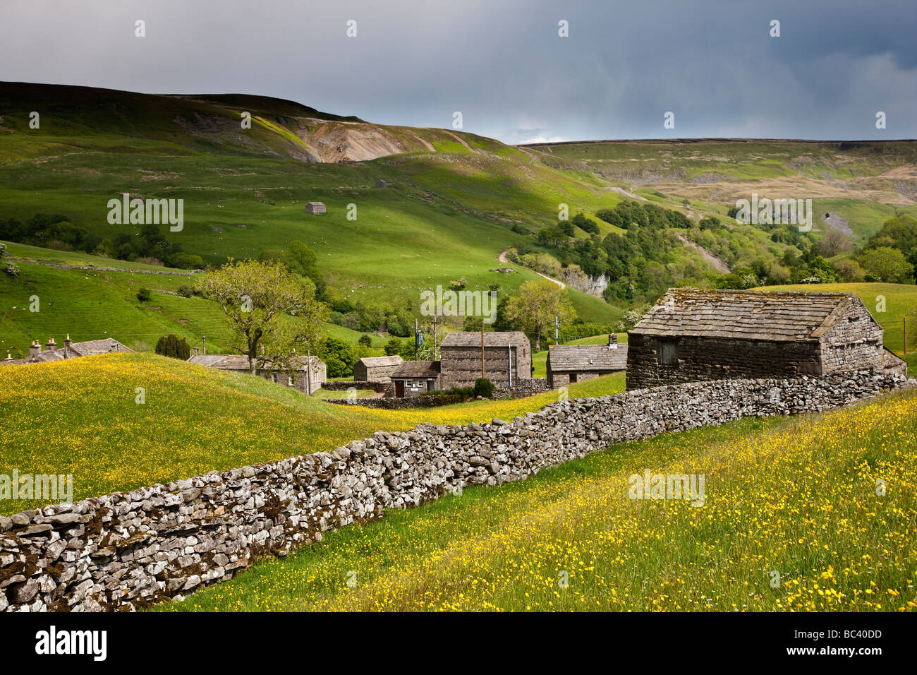Barns and wild flower meadows near Keld Upper Swaledale Yorkshire Dales ...