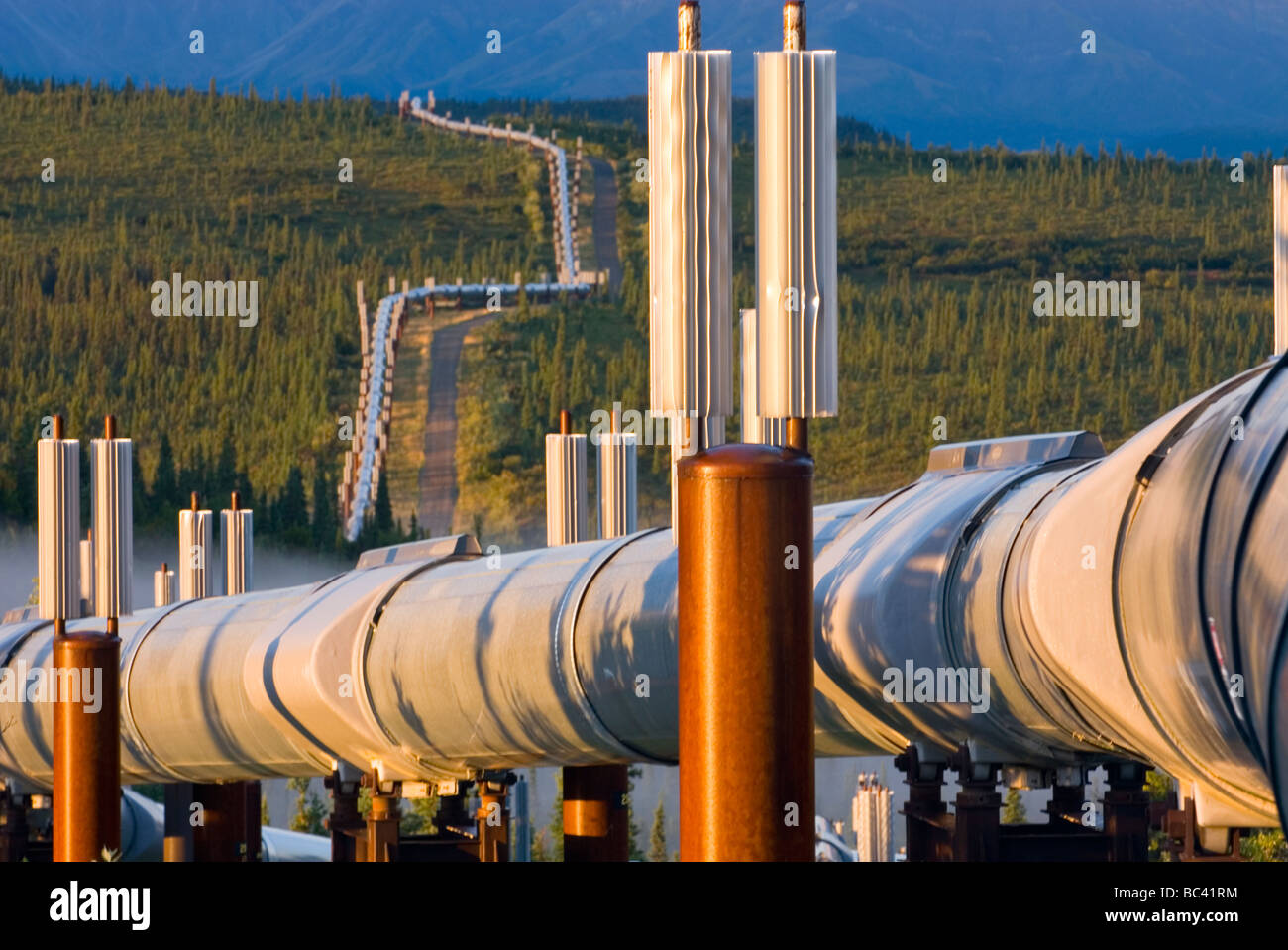 Elevated oil pipeline hi-res stock photography and images - Alamy
