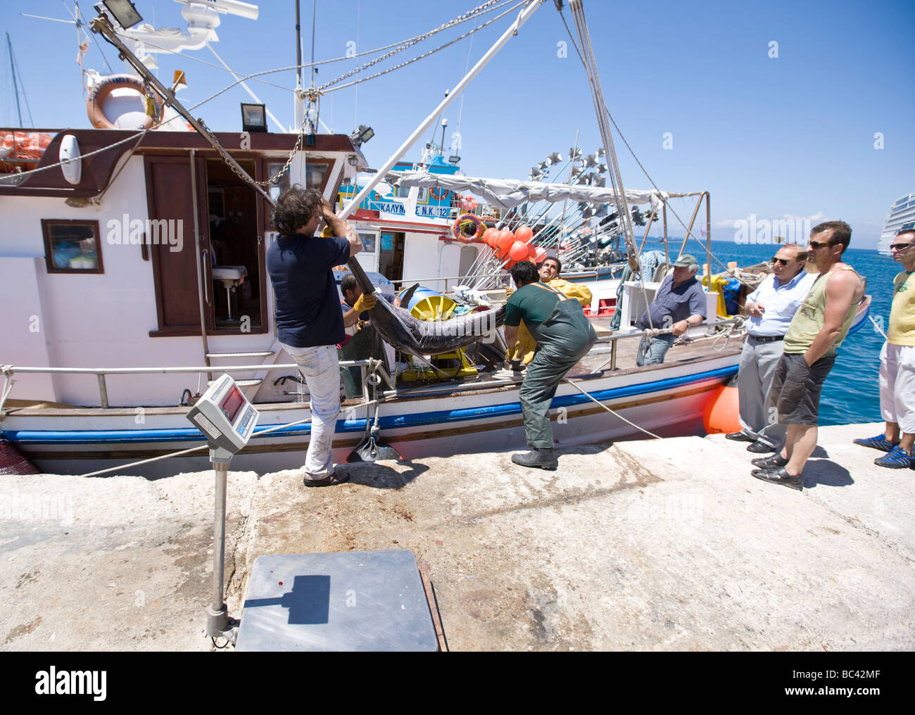 Fisherman unloading their catch of Swordfish in Rhodes harbour May ...